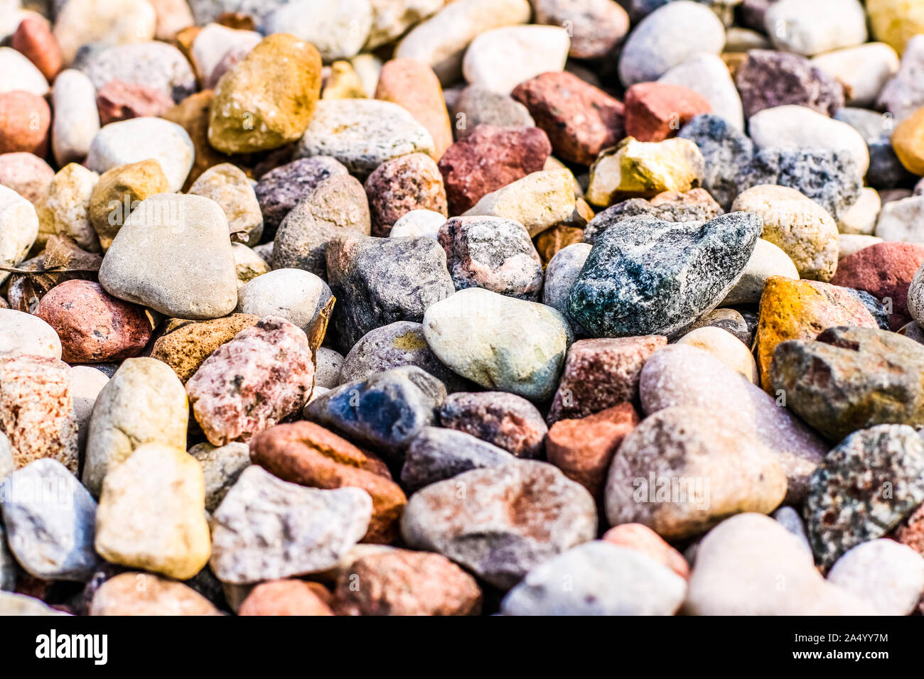 Landscape architecture, interior design and nature elements concept ...