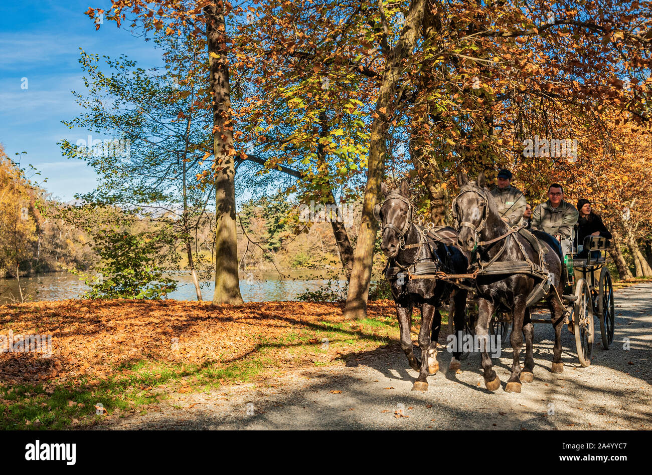 Italy Piedmont Venaria Reale La Mandria Regional park - Lake -carriage ...