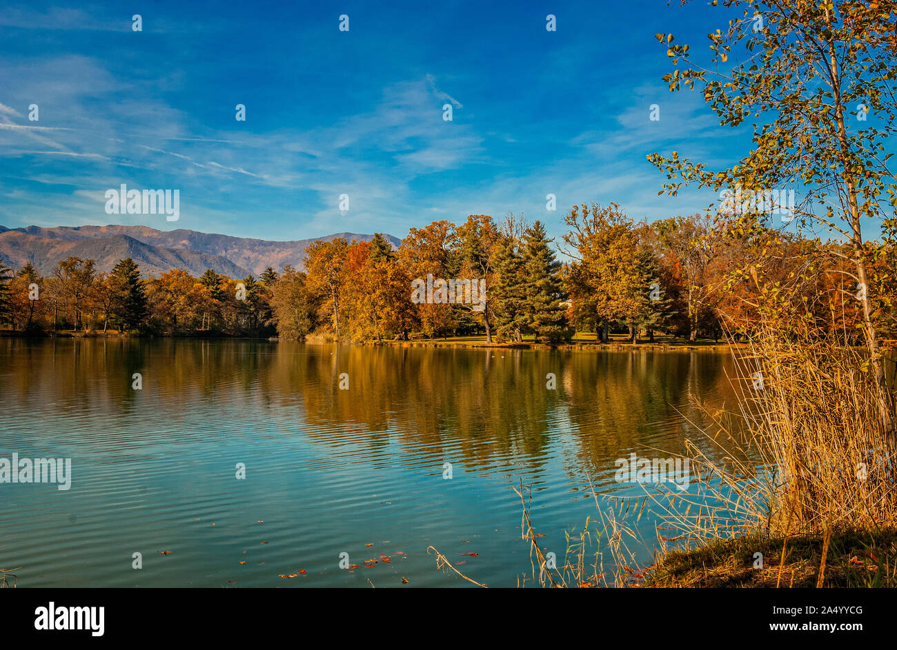 Parco la mandria hi-res stock photography and images - Alamy