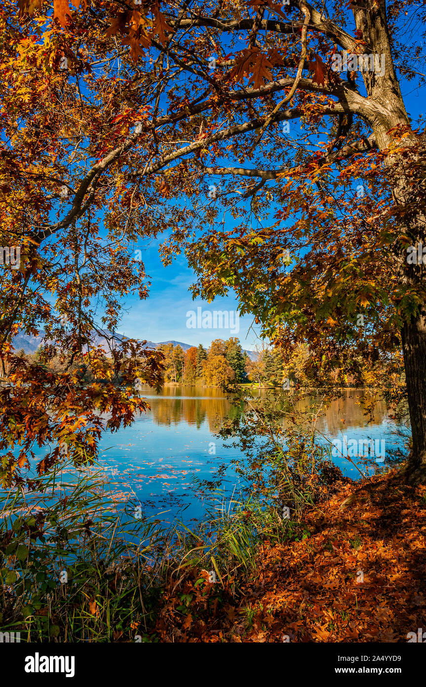 Parco la mandria hi-res stock photography and images - Alamy
