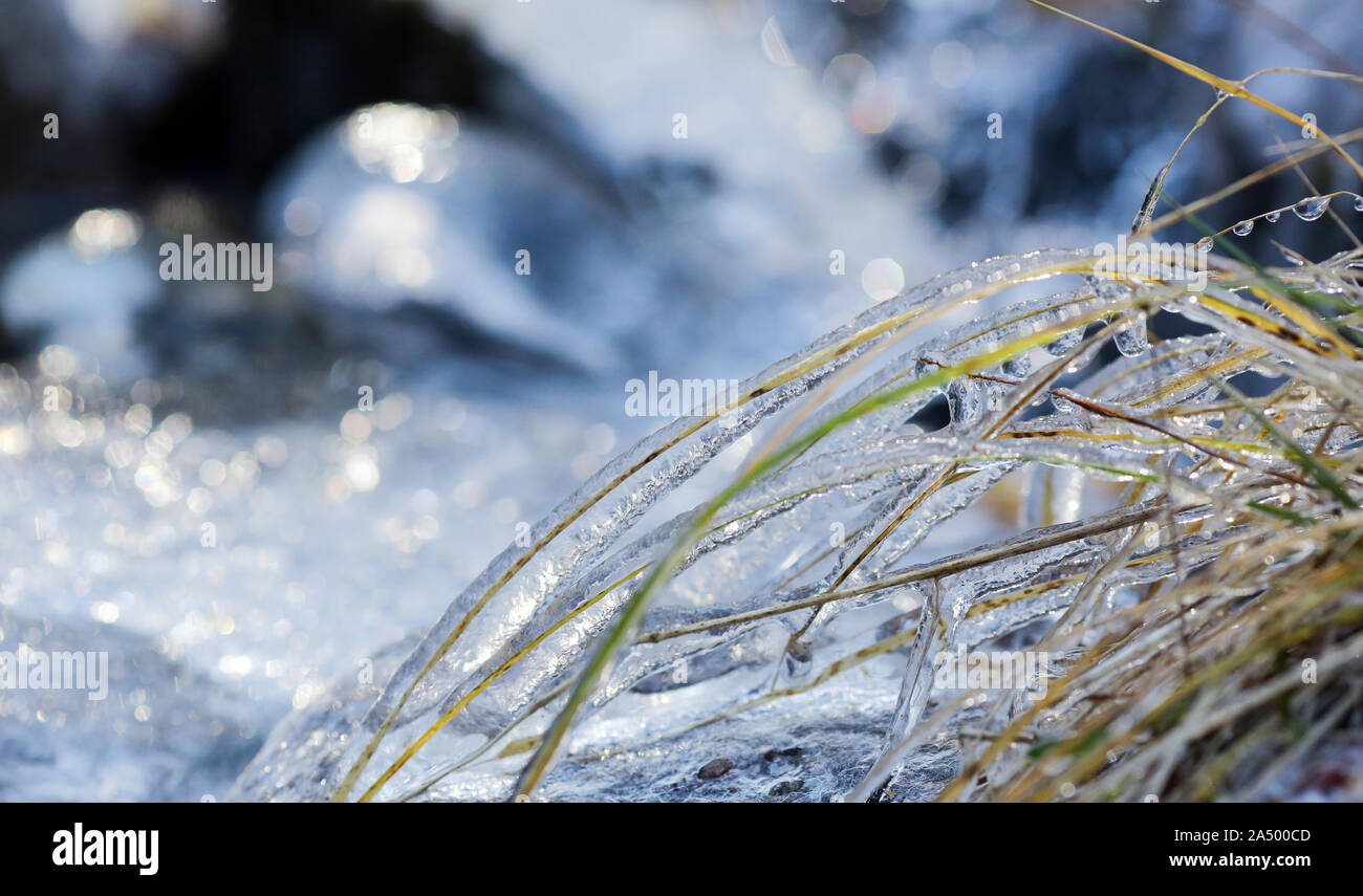 Grass covered with ice hi-res stock photography and images - Alamy