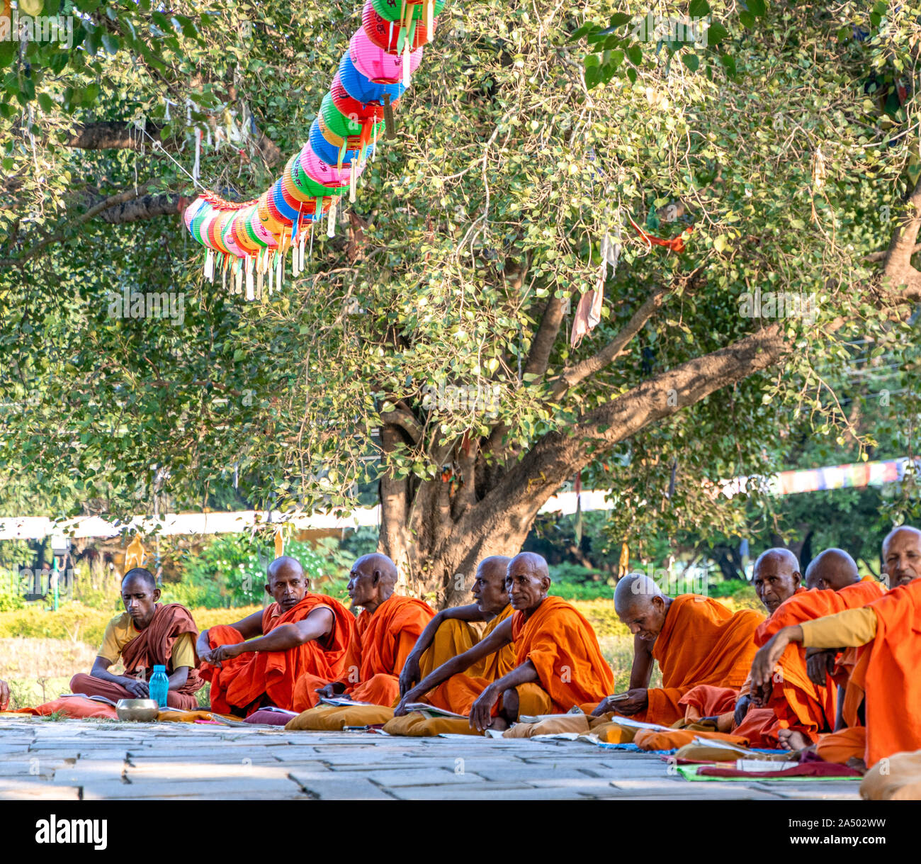 Monks at maya devi temple hi-res stock photography and images - Alamy