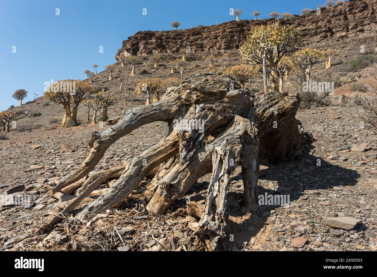 African climate change hi-res stock photography and images - Alamy
