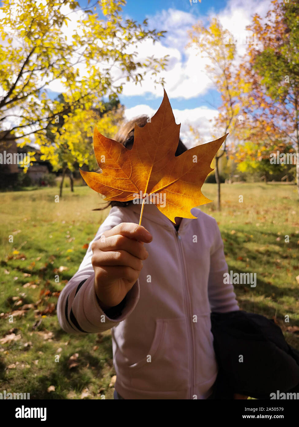 Holding leaves in front of face hi-res stock photography and images - Alamy