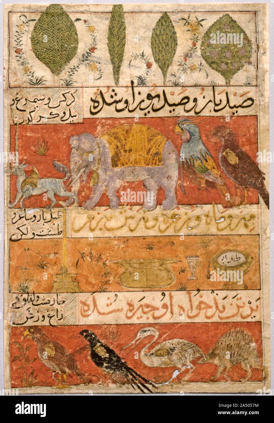 Al ashar hi-res stock photography and images - Alamy