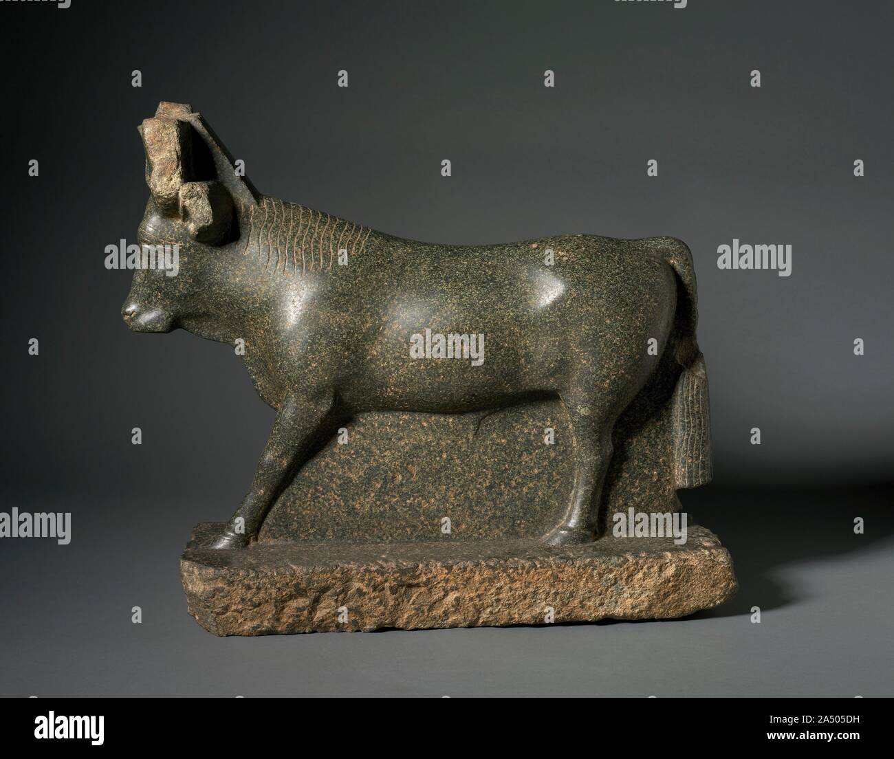 Apis Bull, 400-100 BC. Sacred animal cults have a long history in ...