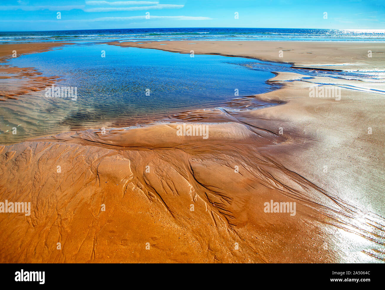 landscape of sandy ocean shore Stock Photo - Alamy