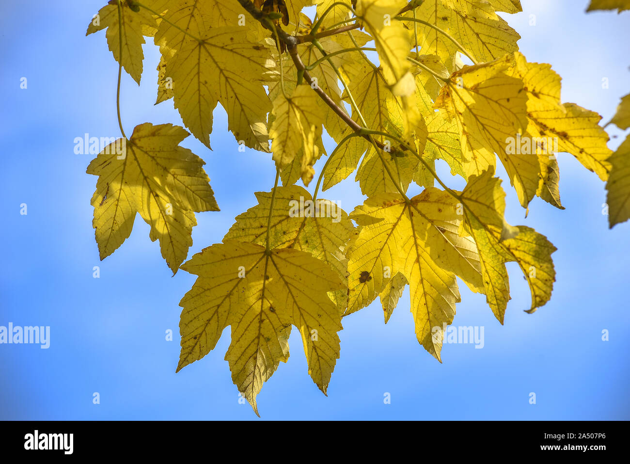 Autumn in Czech Republic, October 15, 2019. (CTK Photo/Drahoslav Ramik ...