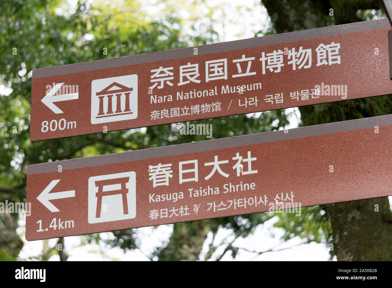 Street sign in Nara, Japan pointing the way to Nara National Museum and ...