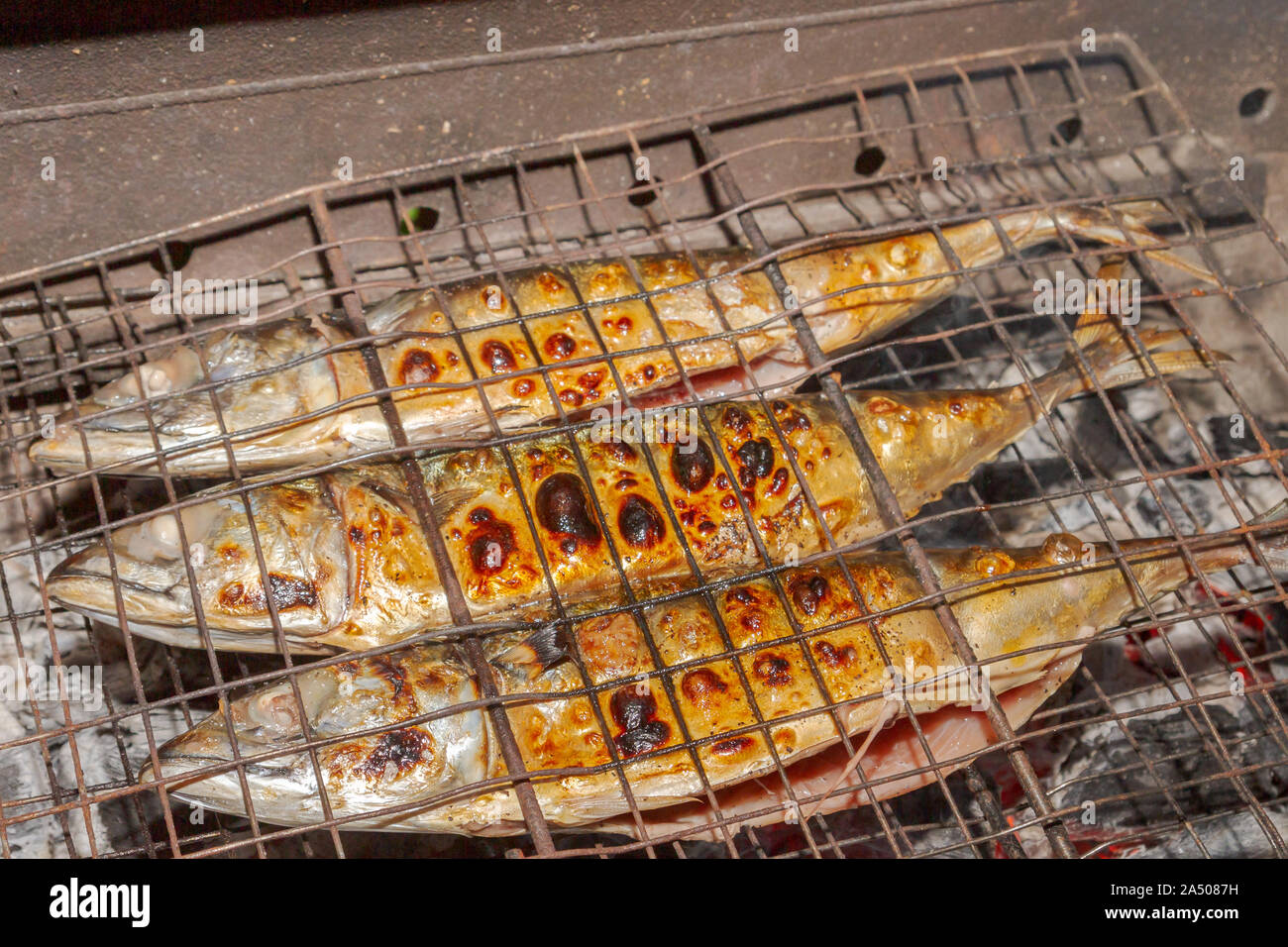 Grilled smoked Golden mackerel fish outside late at night Stock Photo ...