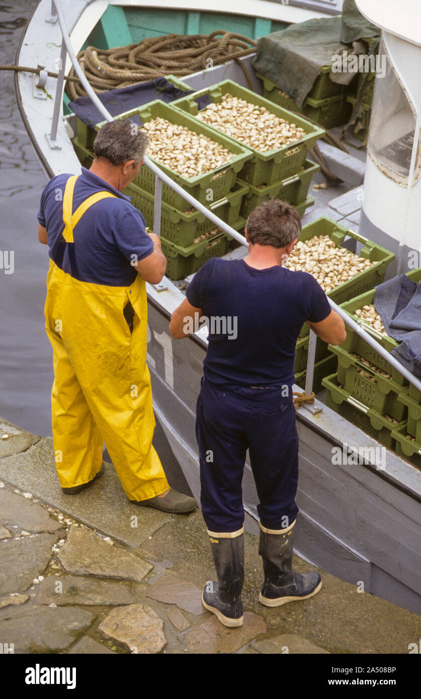 FISHERMAN with its mussel catch on deck Stock Photo - Alamy