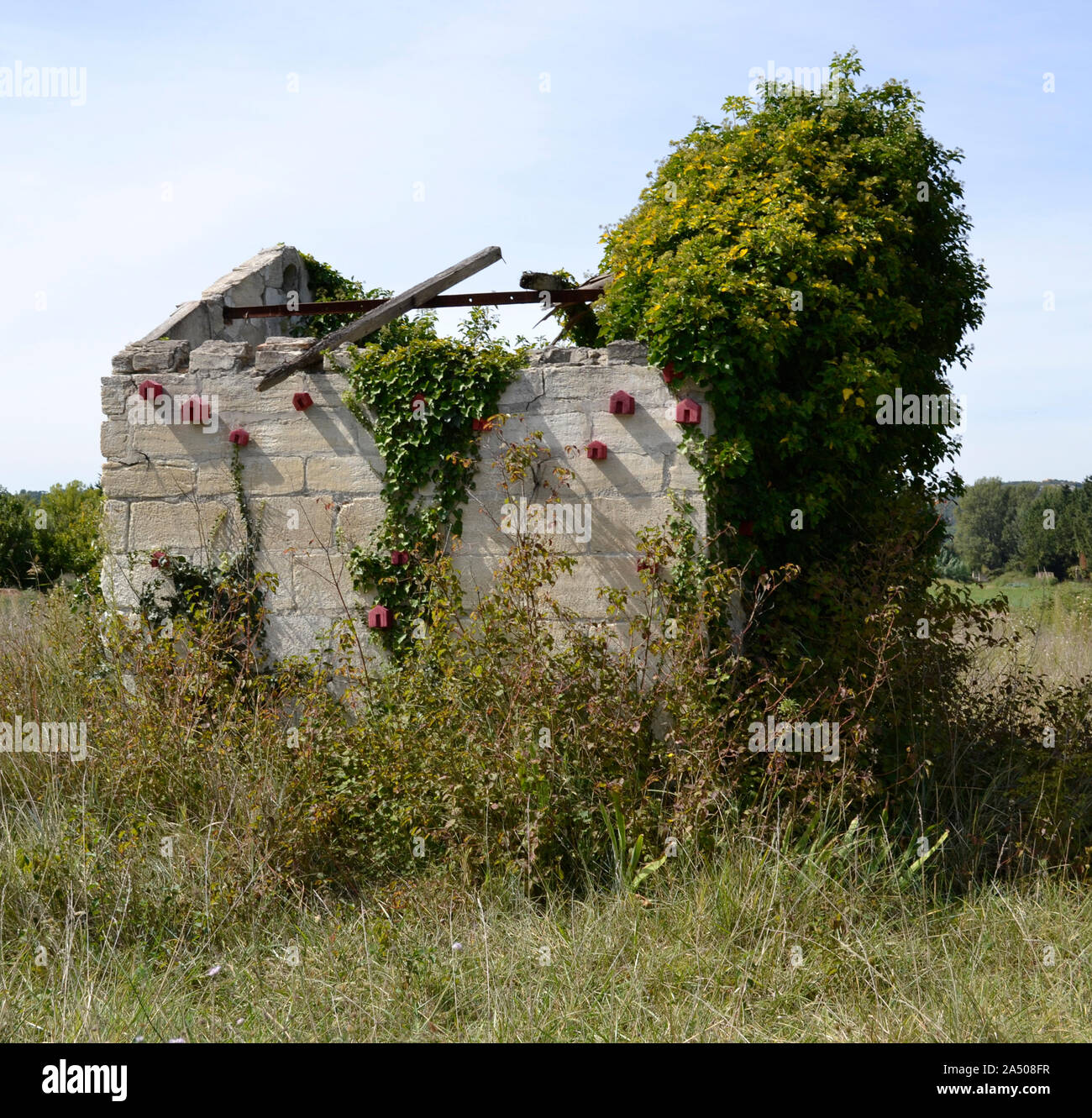 Derelict Stone Hut Stock Photo - Alamy