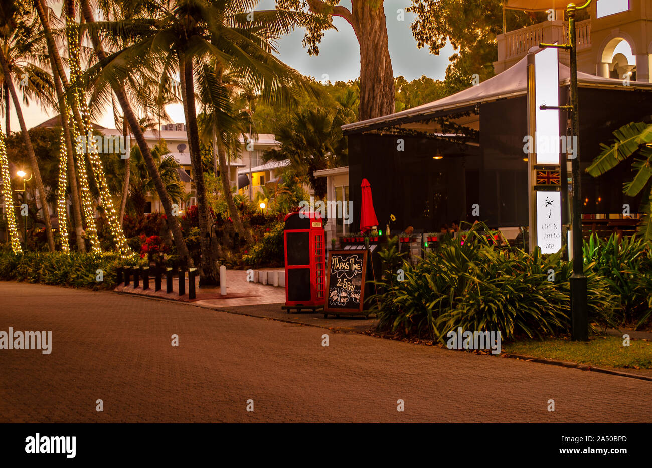 Plam trees windy hi-res stock photography and images - Alamy