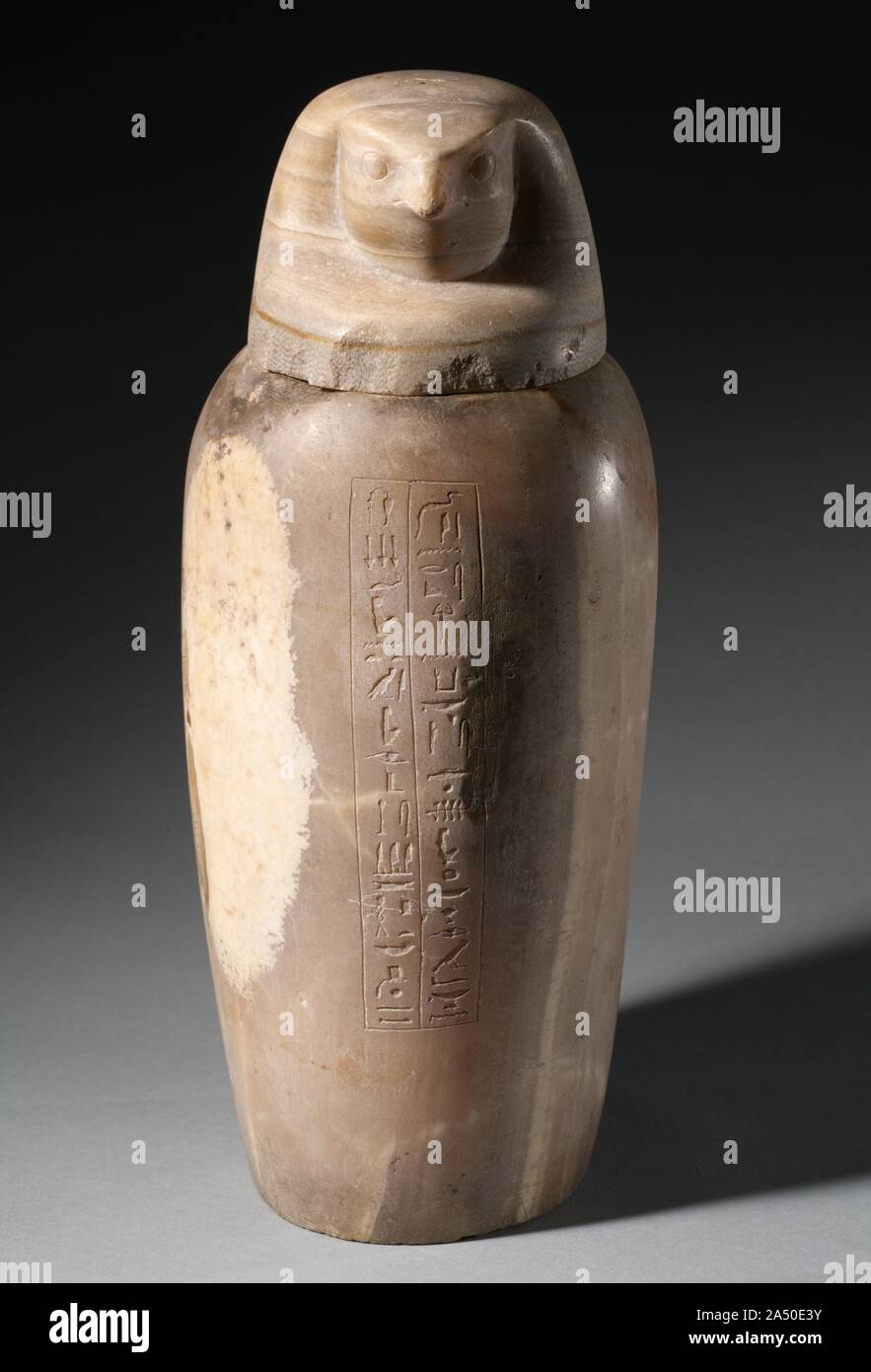 Each jar for one organ hi-res stock photography and images - Alamy