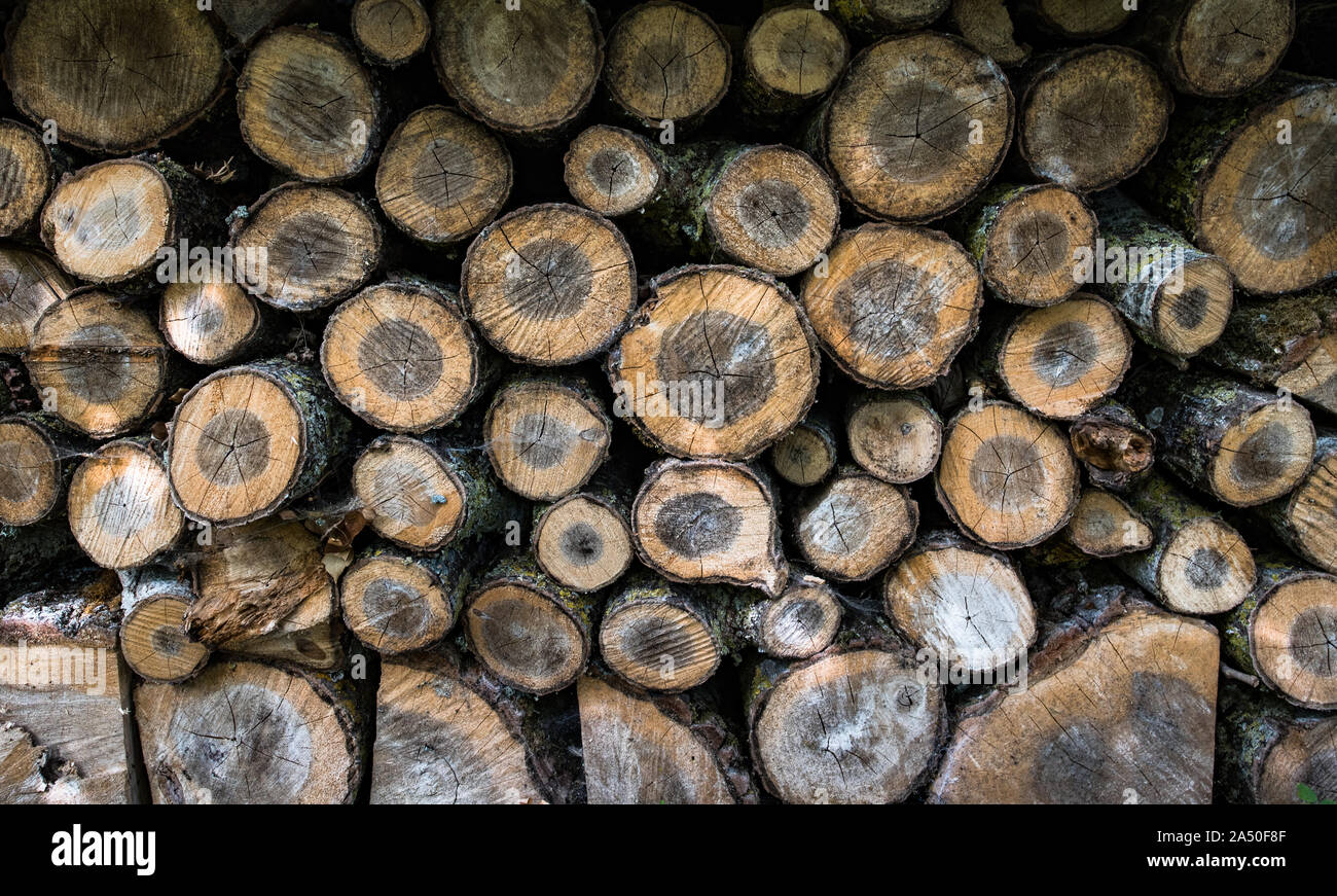 Logs texture hi-res stock photography and images - Alamy