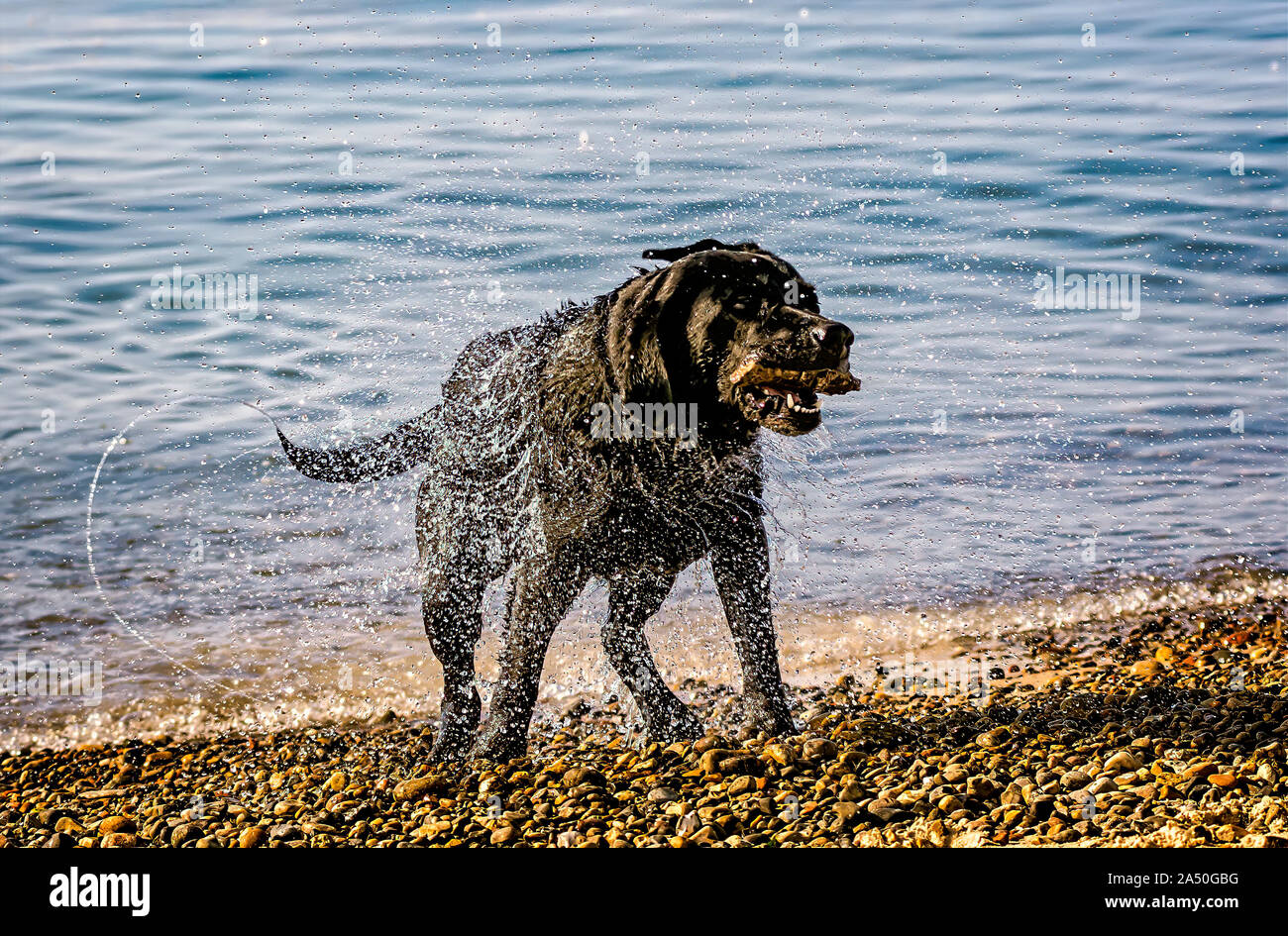 After a walk hi-res stock photography and images - Alamy