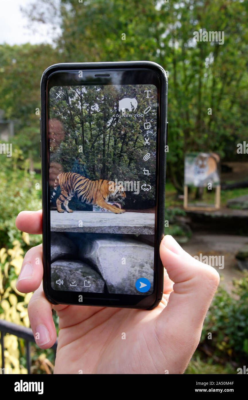 Virtual zoo digital hi-res stock photography and images - Alamy