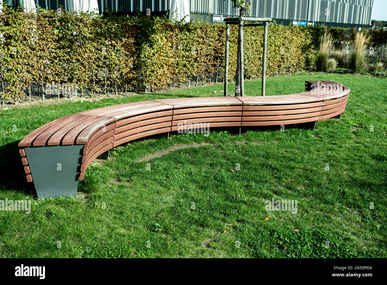 A modern bench in a city park on a sunny day Stock Photo - Alamy