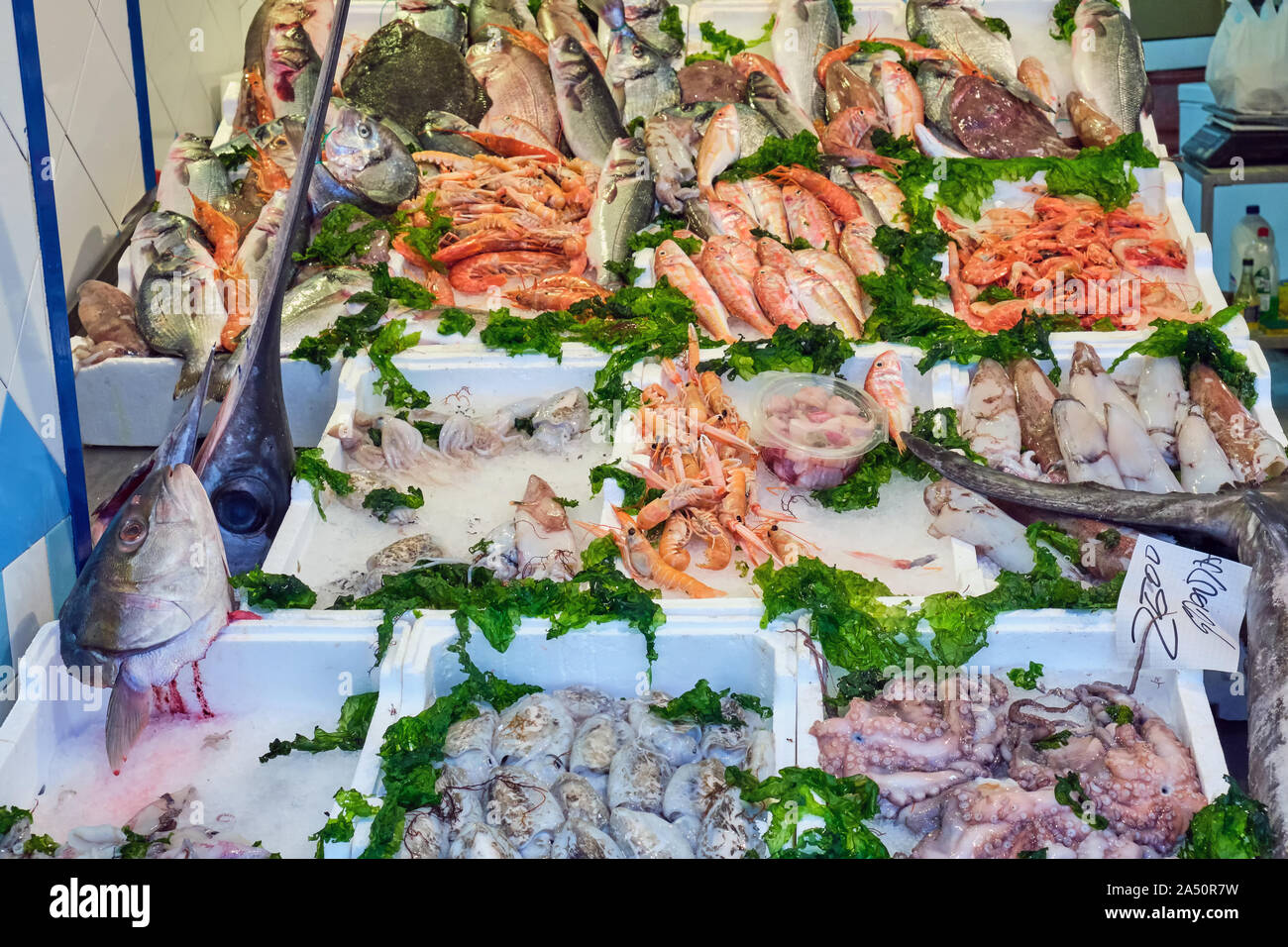 Fresh scampi fish market hi-res stock photography and images - Alamy