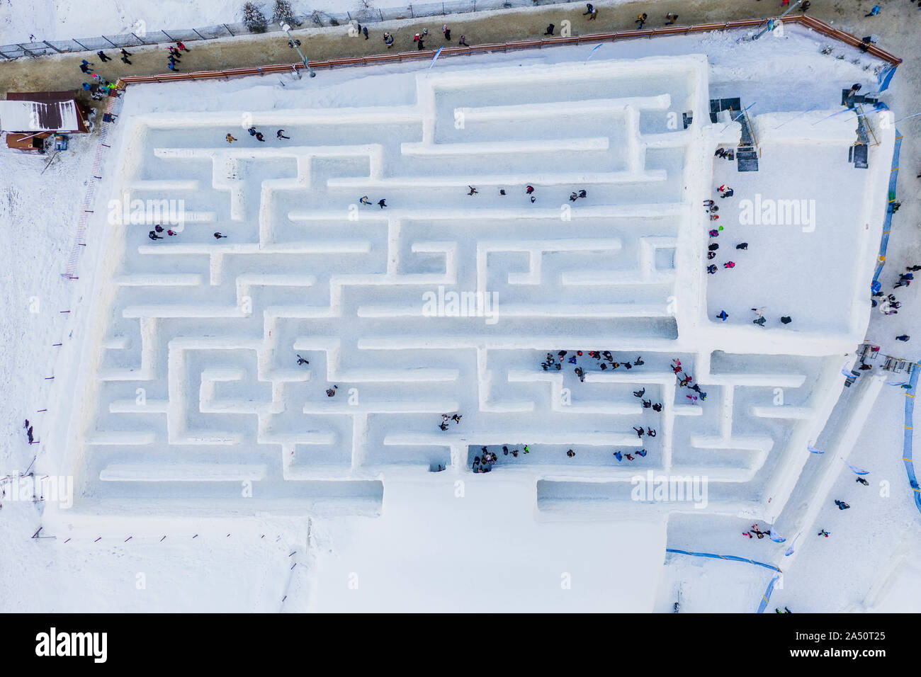 Snow Maze