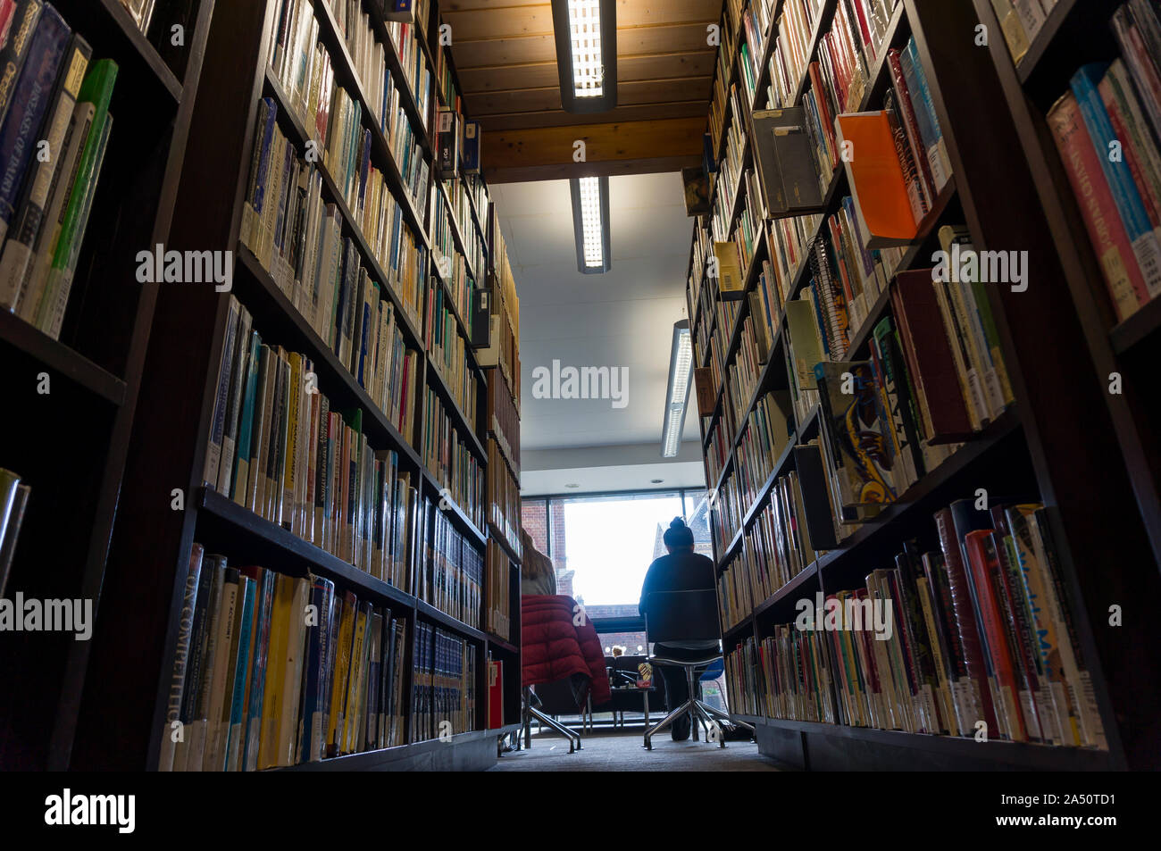 Students Library Campus Education at Cambridge University Stock Photo ...
