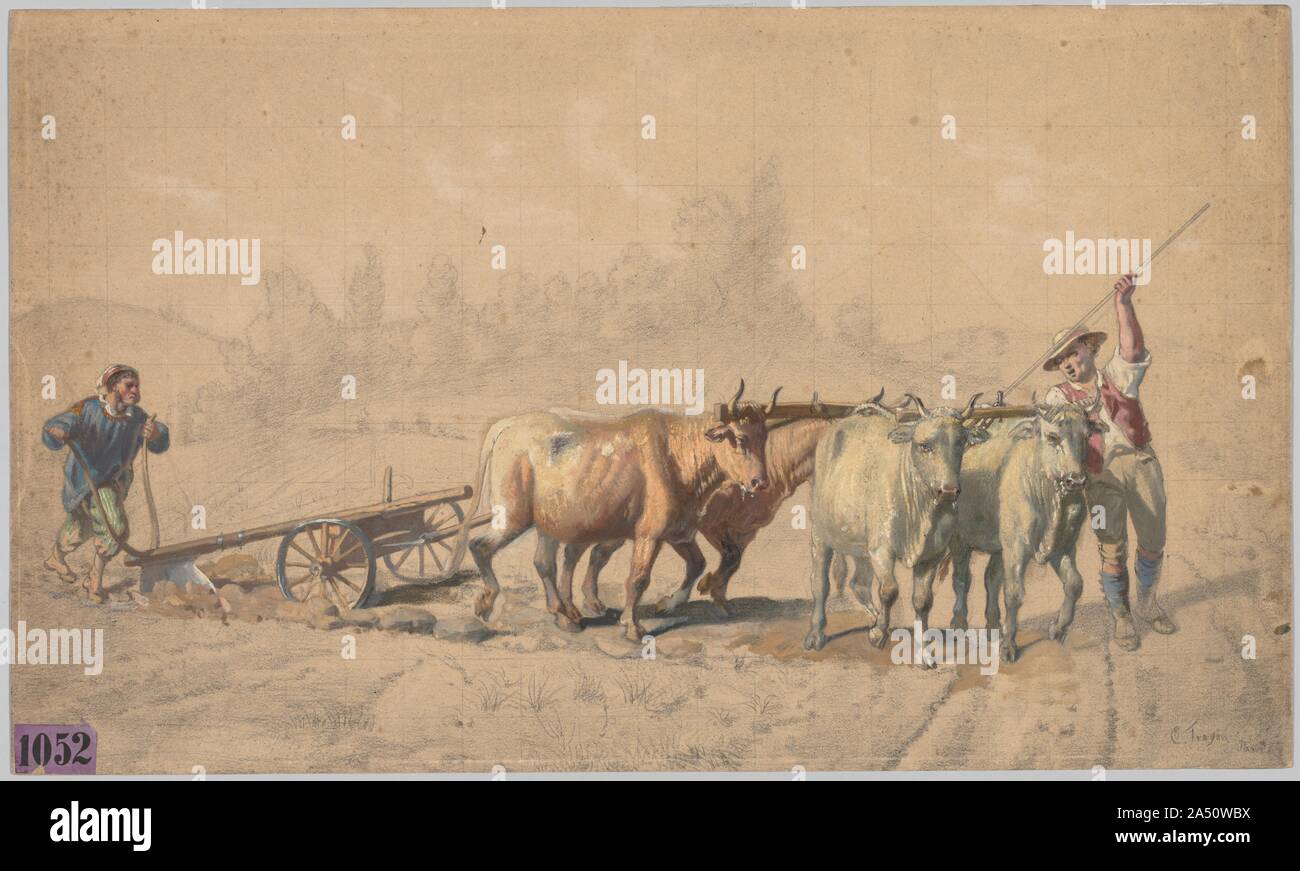 Four Oxen Pulling a Plough, 1853 Stock Photo - Alamy