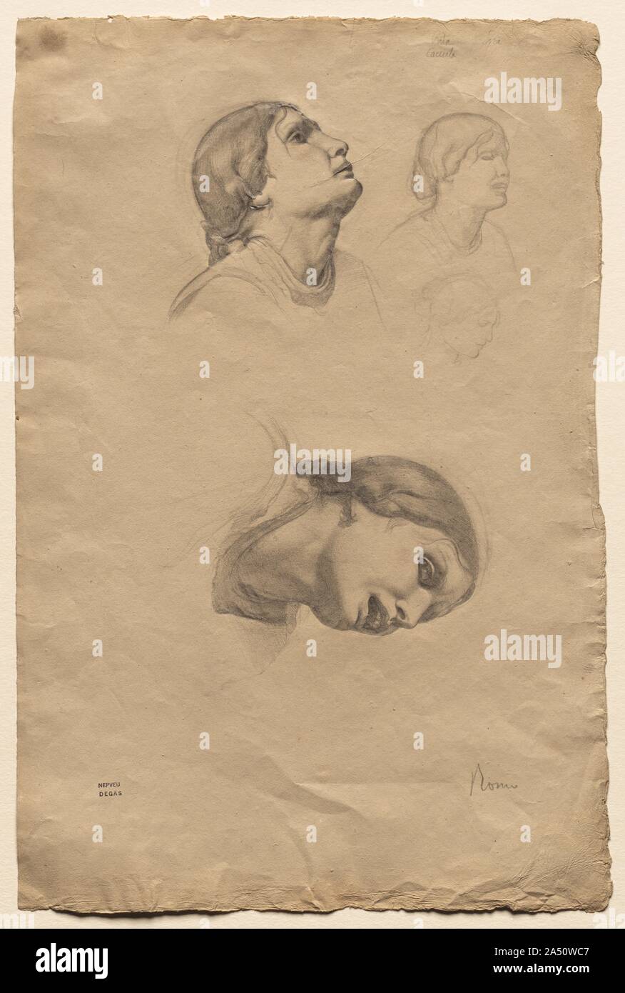 Figure Studies Models