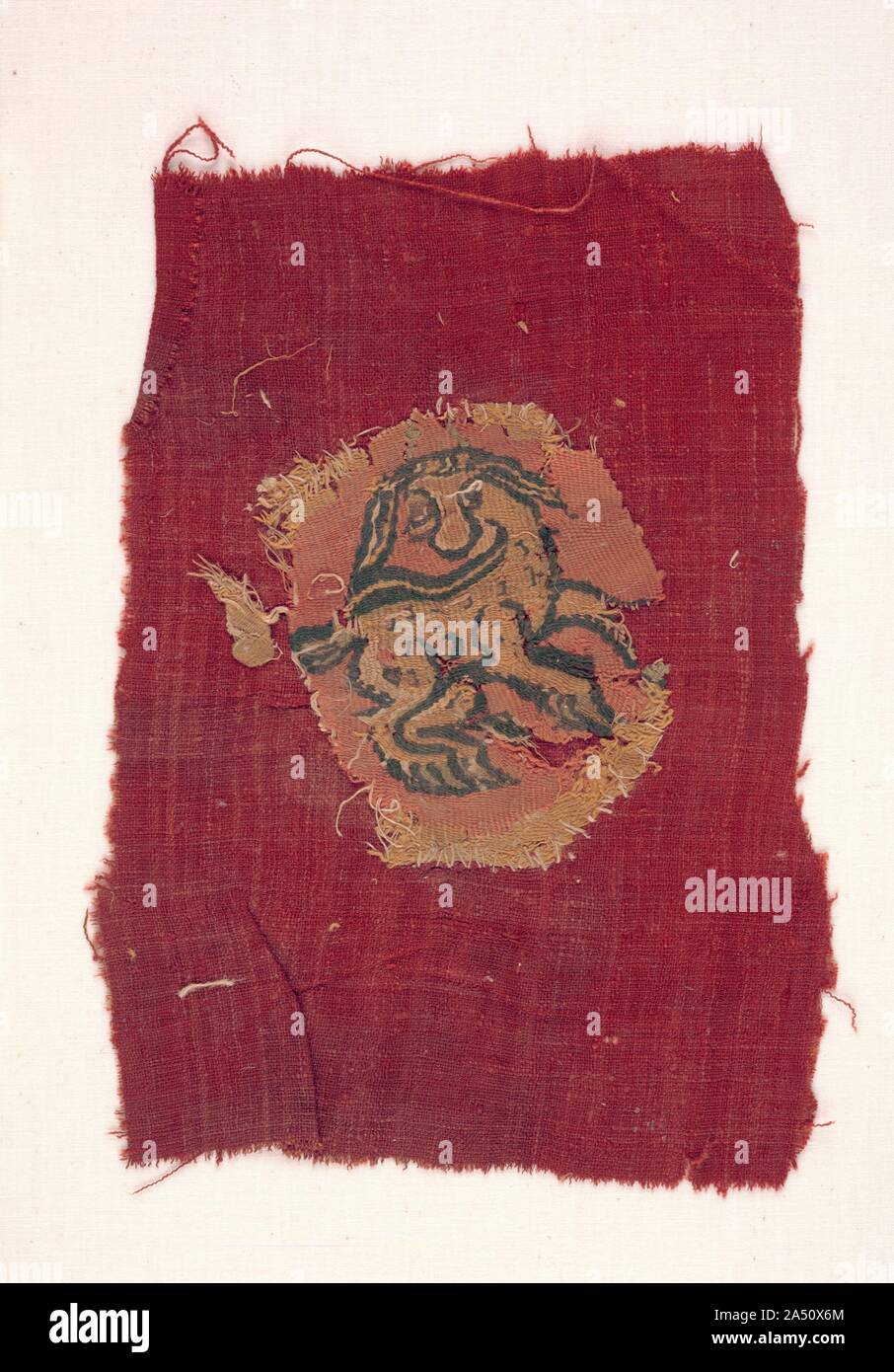 Oval segmentum hi-res stock photography and images - Alamy