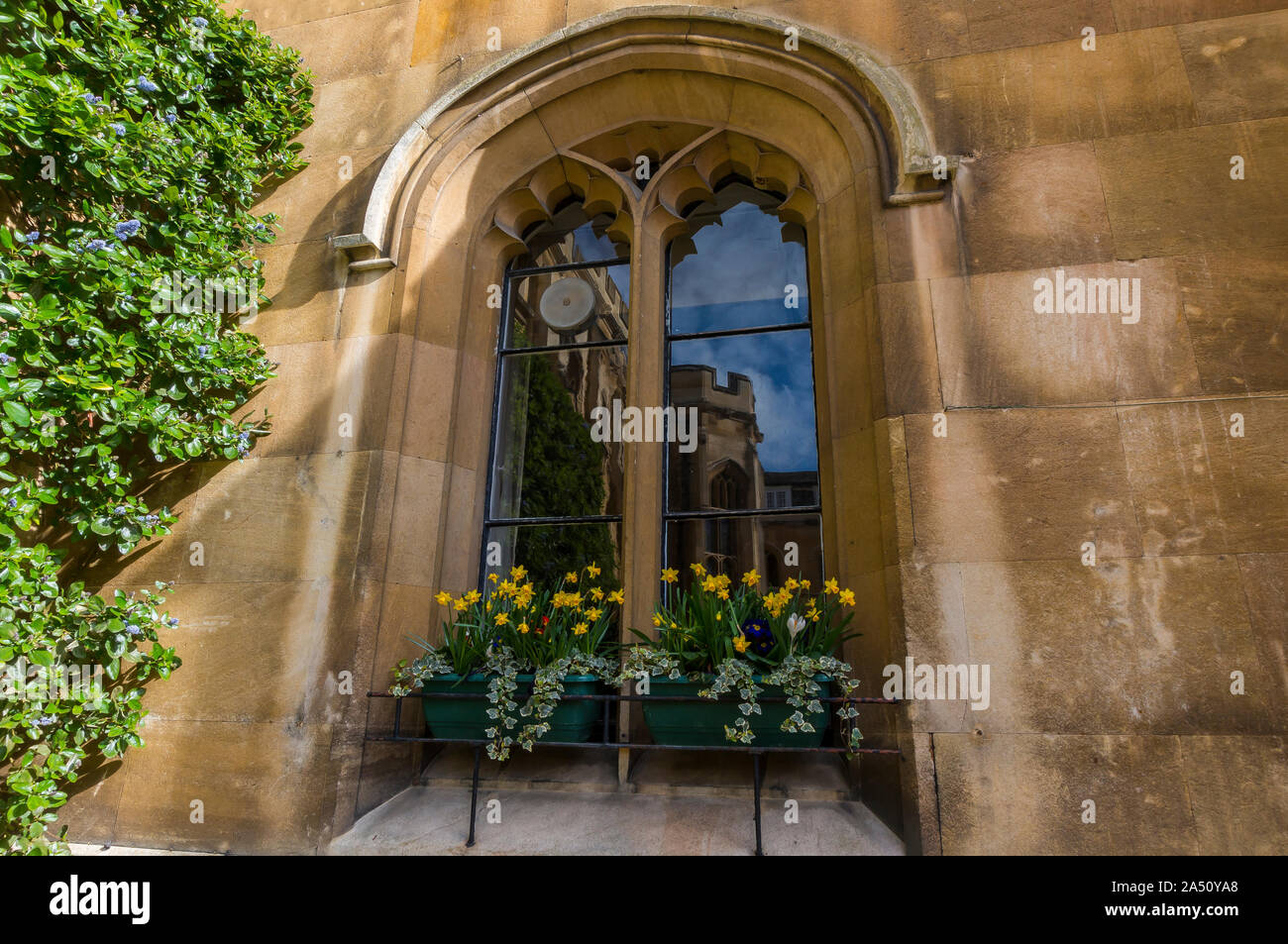Amazing architectural design with flowers inside interior courtyard ...