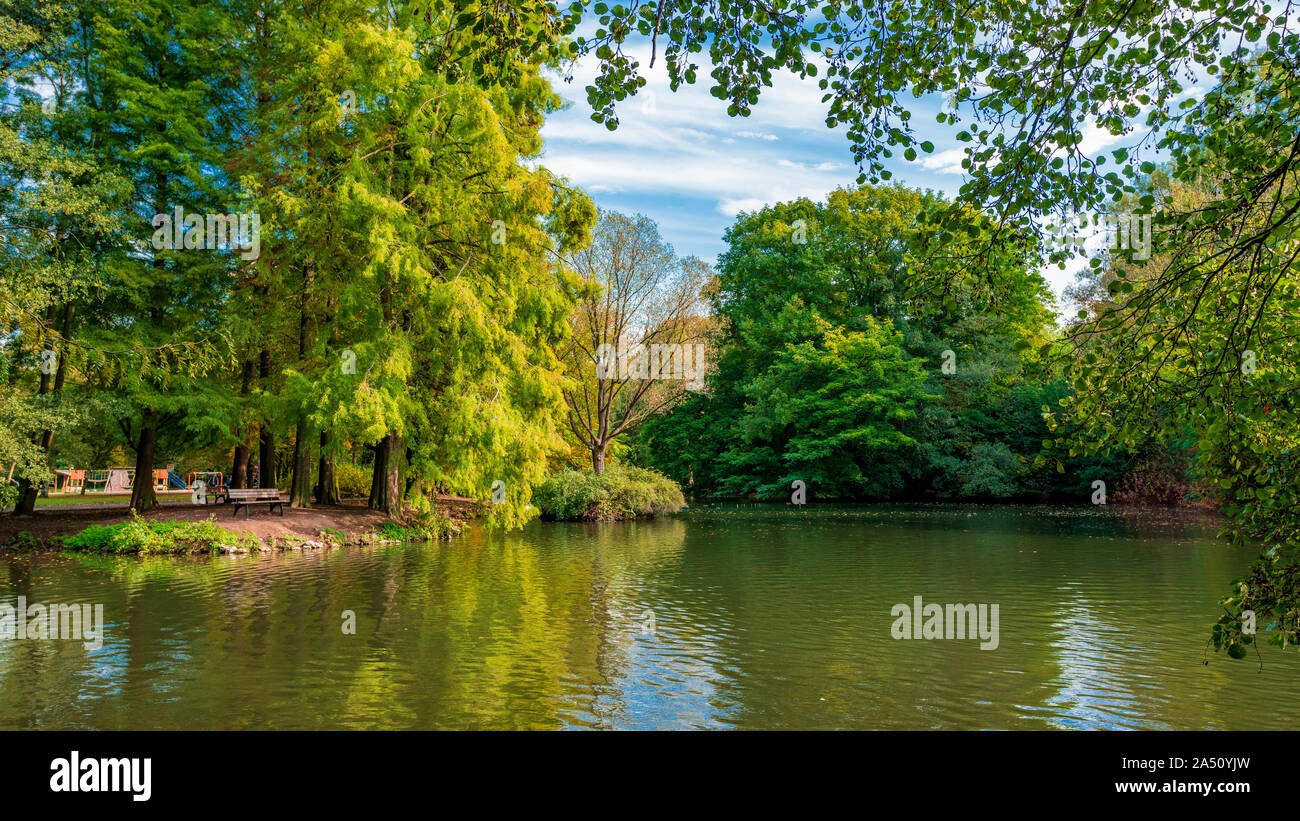 Real Autumn landscape. Golden autumn scene in a park Stock Photo - Alamy