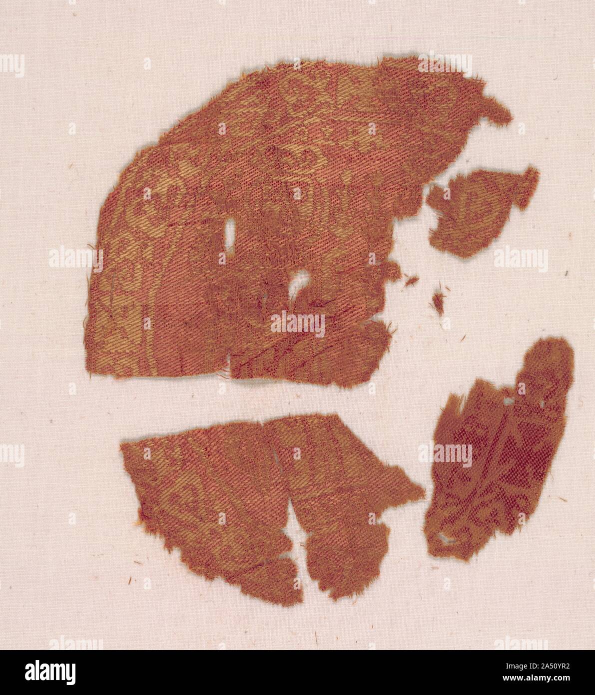 Segmenta hi-res stock photography and images - Alamy