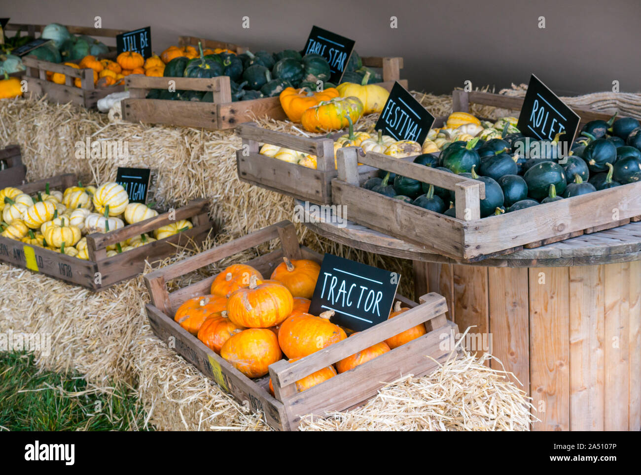 Roley pumpkins hi-res stock photography and images - Alamy