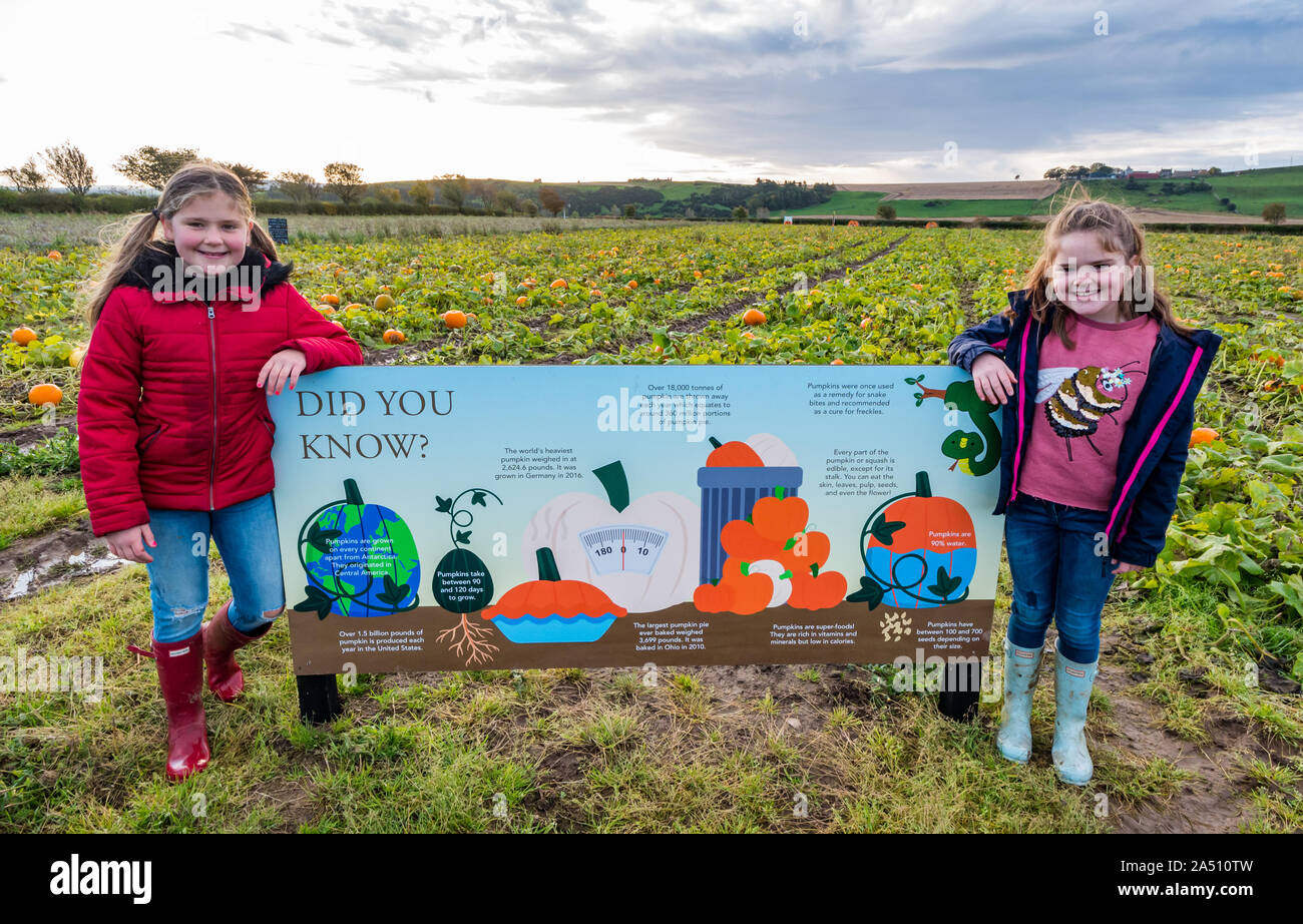 Louisa calder hi-res stock photography and images - Alamy