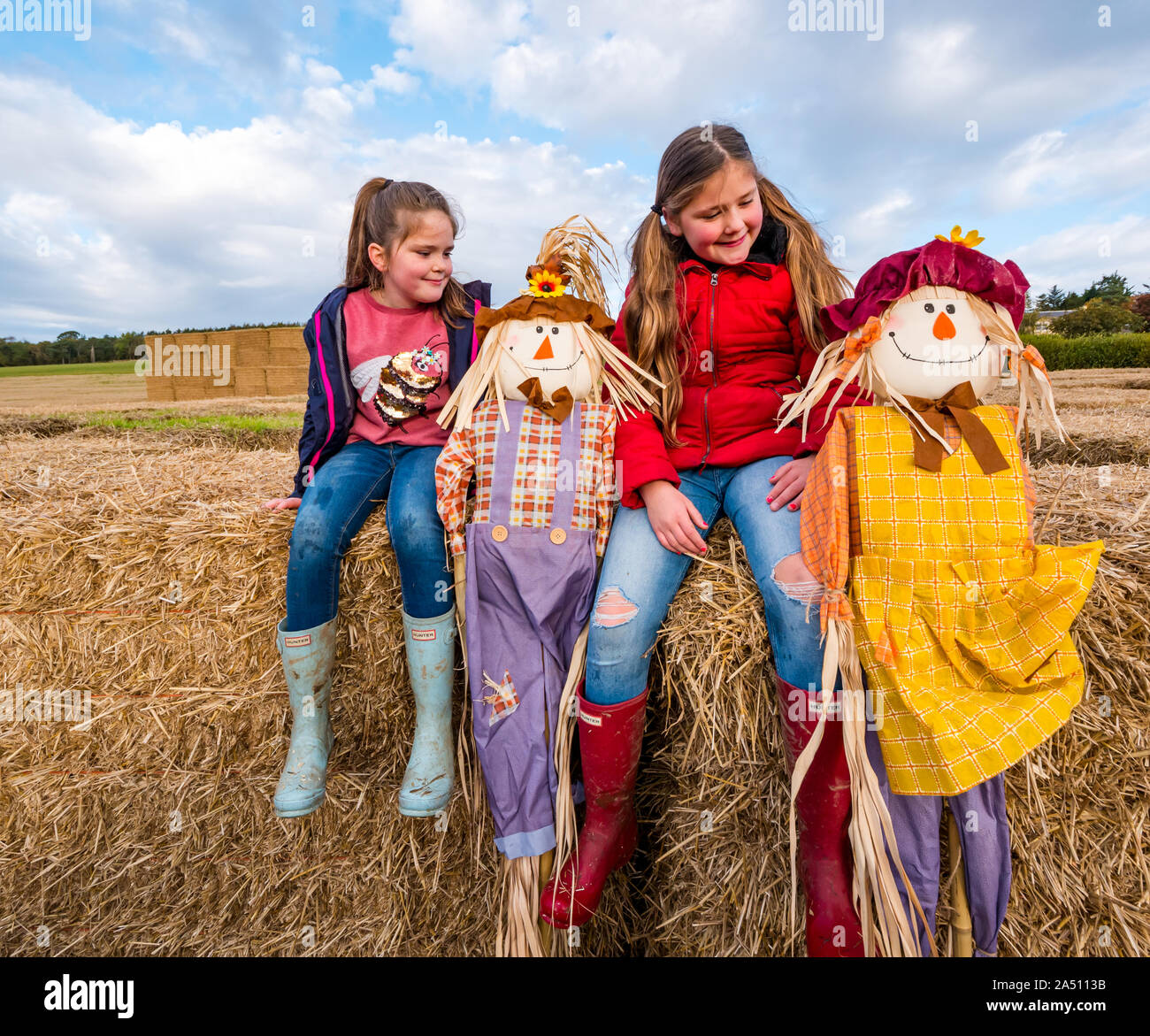 Kilduff Farm, East Lothian, Scotland, United Kingdom, 17 October 2019 ...