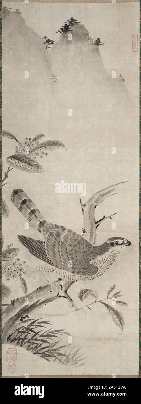 Hawk, mid 1500s Stock Photo - Alamy