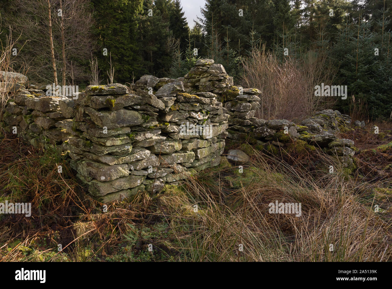 The ruined birthplace of the Welsh bard Taliesin Hiraethog born John ...