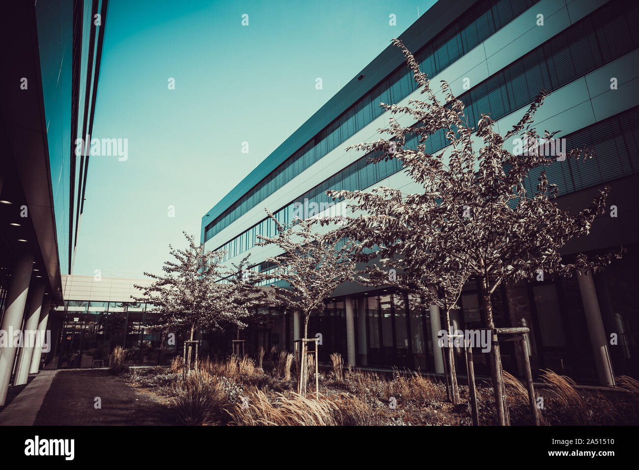 modern office building against a nice blue sky Stock Photo - Alamy
