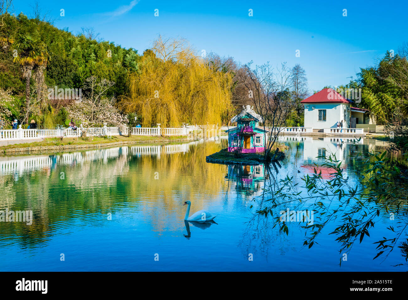pond in a park Stock Photo - Alamy
