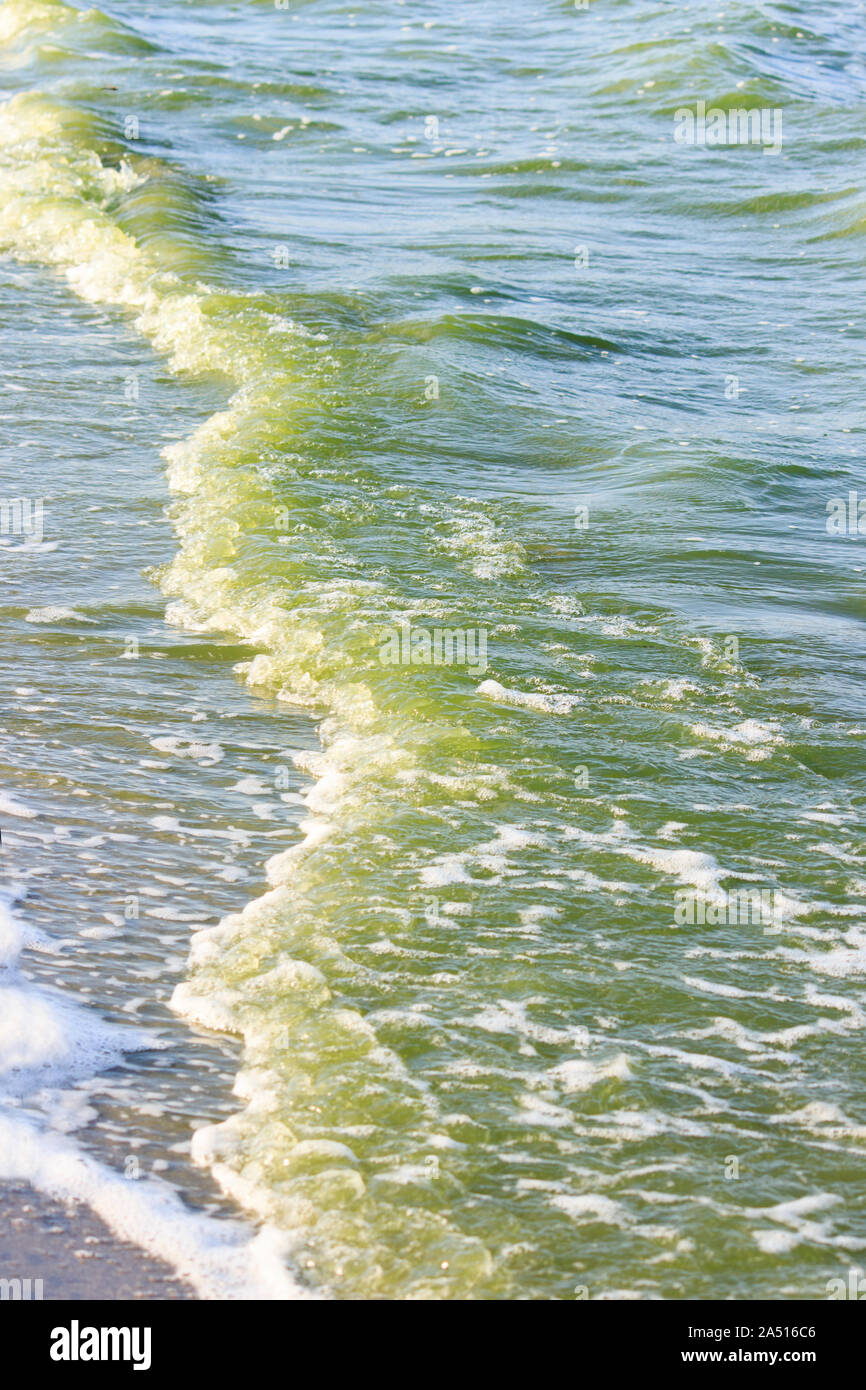 green water in the sea lagoon. the lagoon is a bay separated from the ...