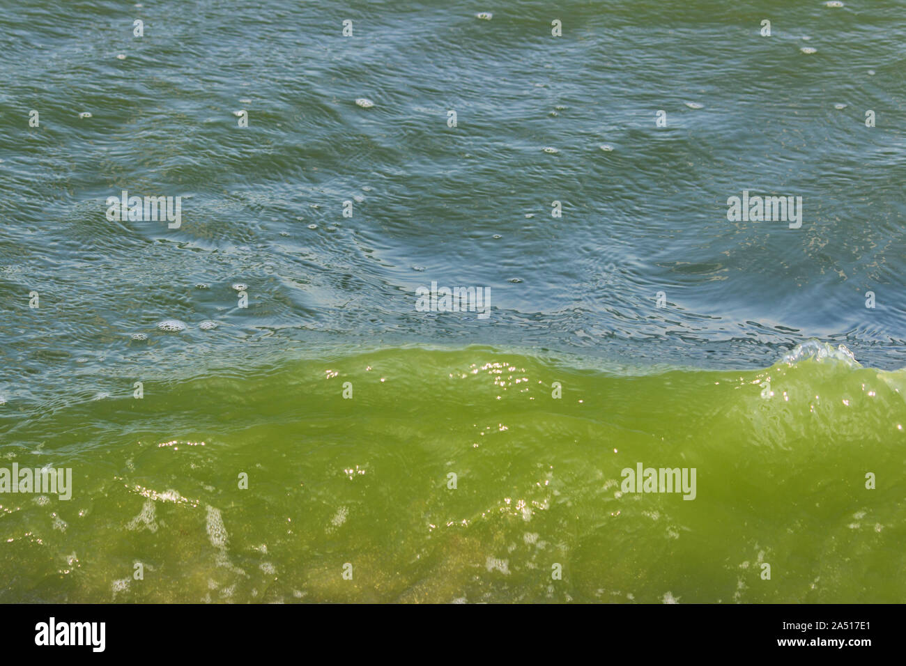 green water in the sea lagoon. the lagoon is a bay separated from the ...