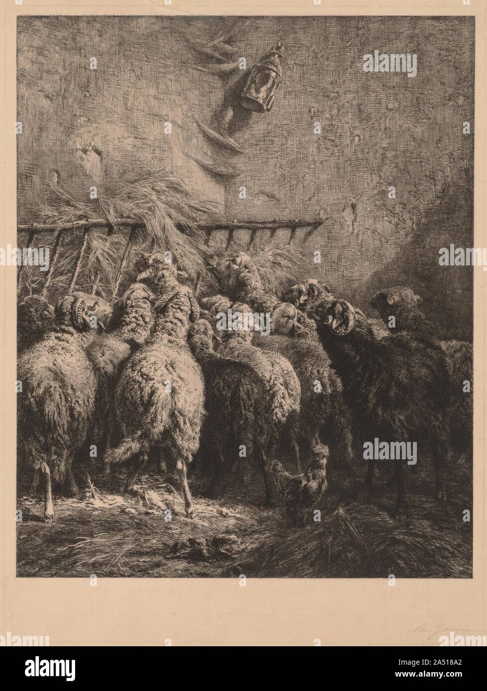 Interior of Sheep Enclosure Stock Photo - Alamy