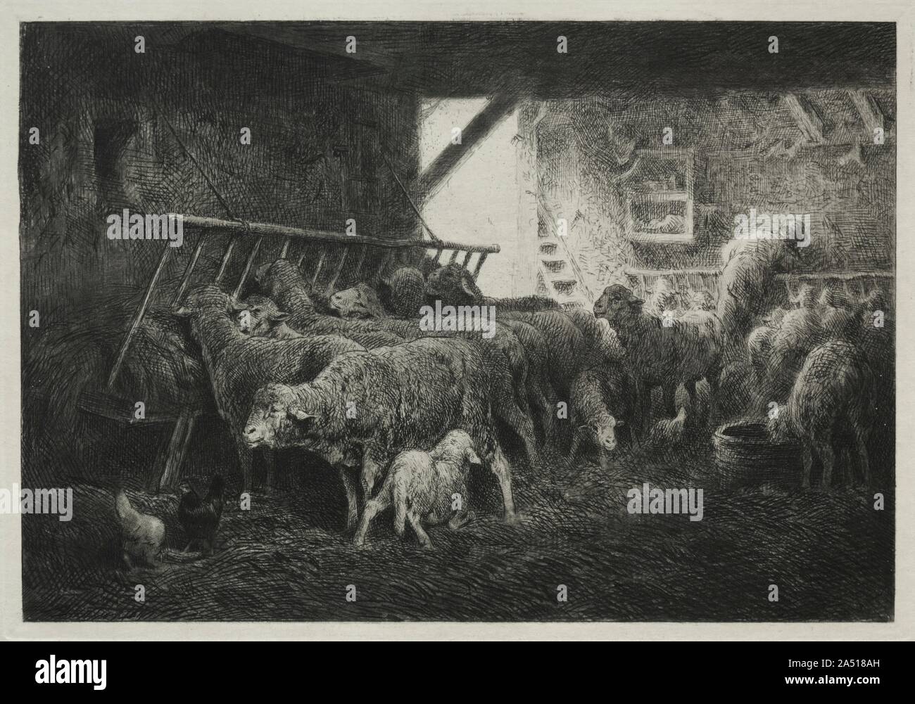 Interior of Sheep Enclosure Stock Photo - Alamy