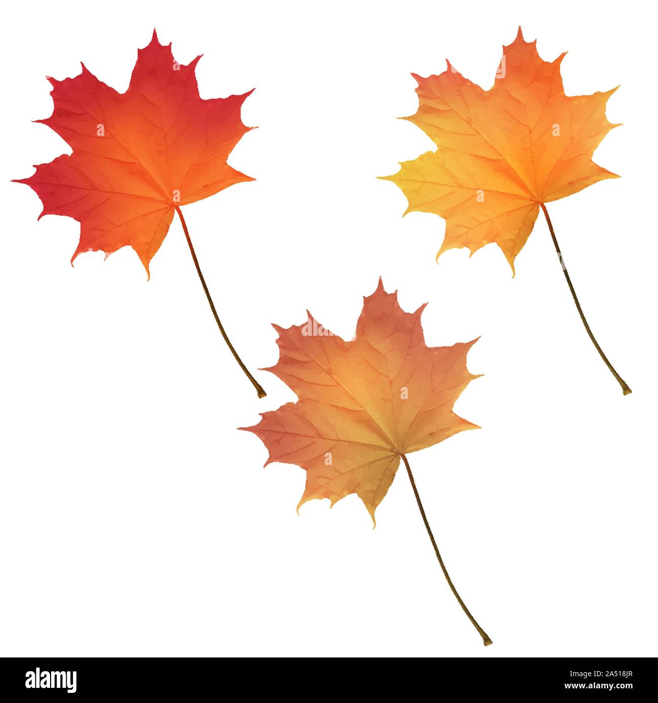 Green and yellow fallen leaves Stock Vector Images - Alamy
