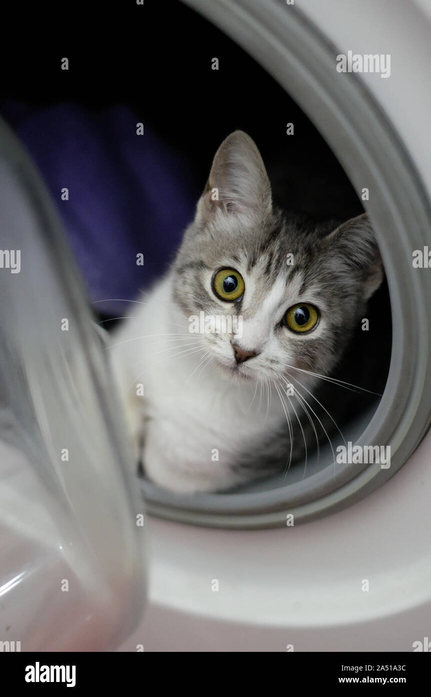 Your lovely eyes hi-res stock photography and images - Alamy