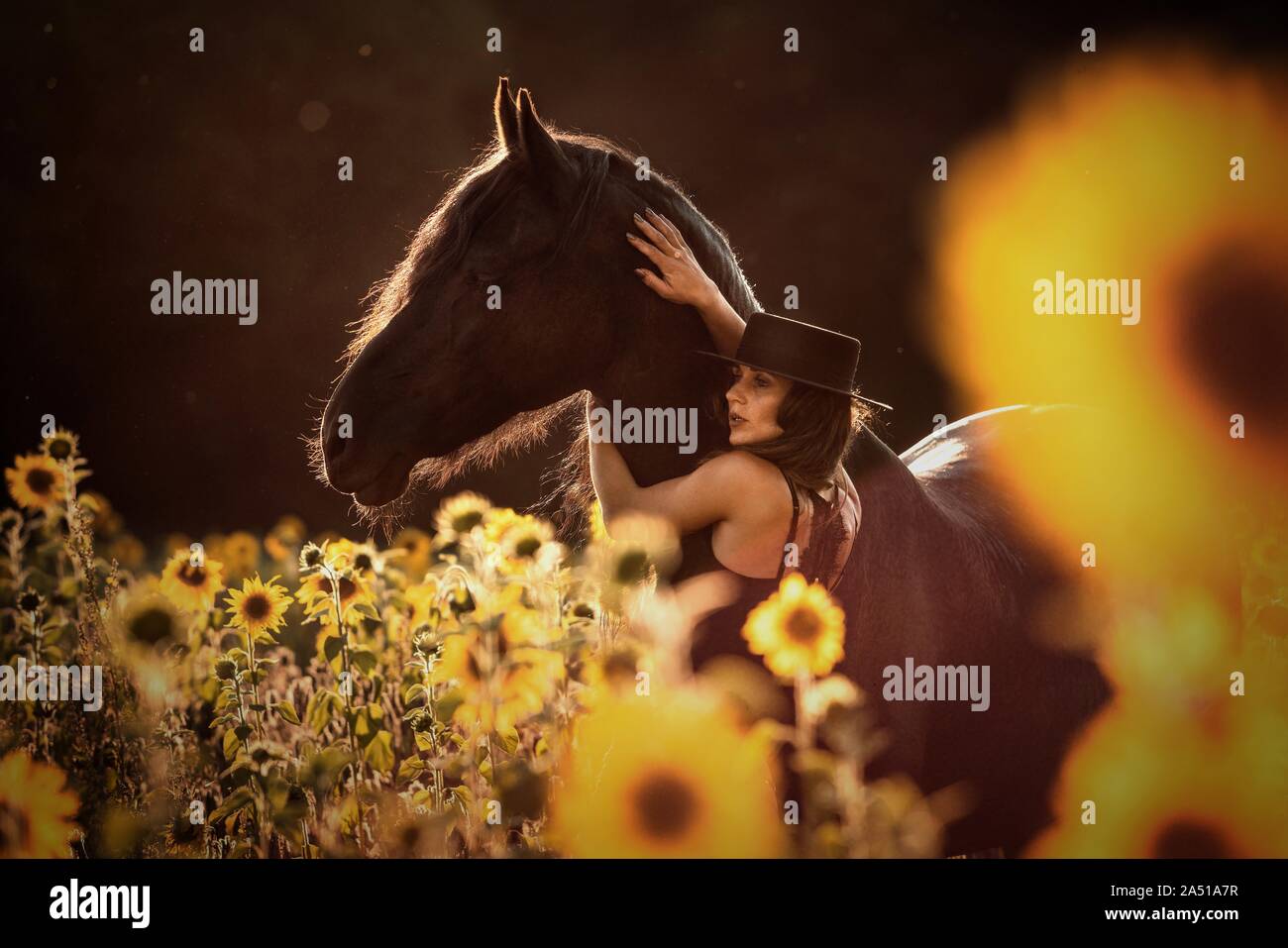 woman and Friesian Horse Stock Photo - Alamy