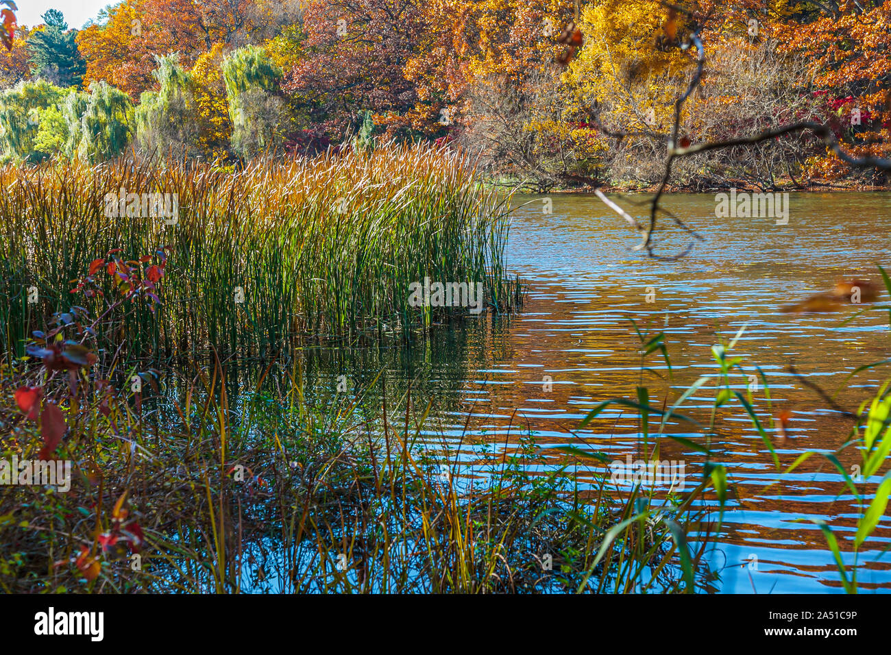 High Park, Toronto, Canada - High park offers colorful landscape with ...