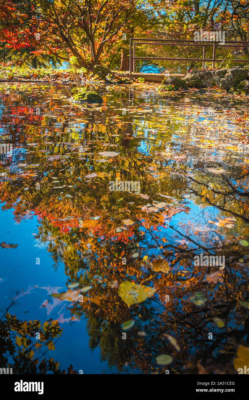 Fall in high park toronto hi-res stock photography and images - Alamy