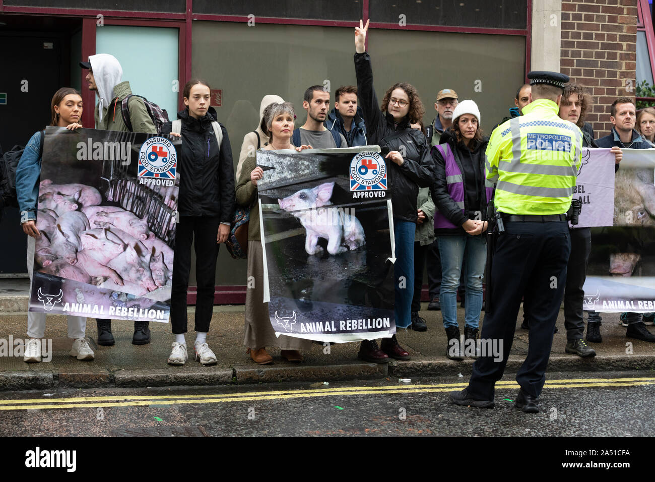 Red tractor scheme hi-res stock photography and images - Alamy