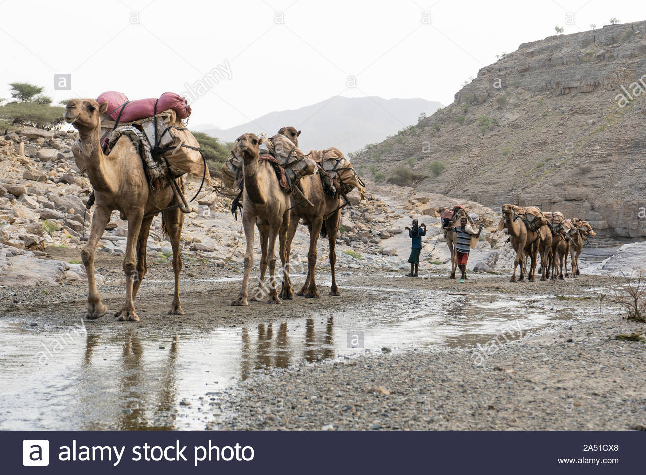 Afar People Stock Photos & Afar People Stock Images - Alamy