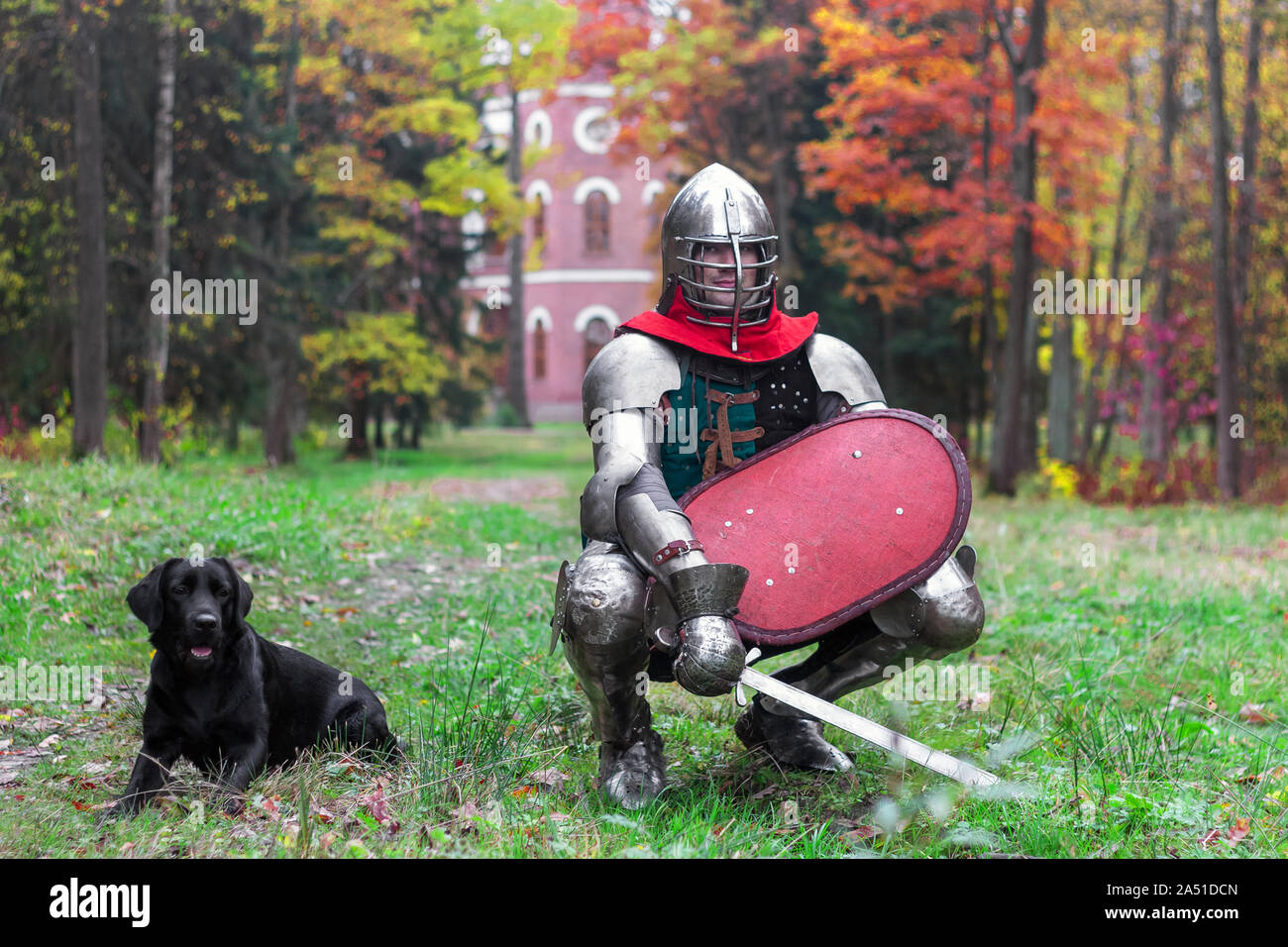 knight and dog black labrador guards a castle fortress medieval ...